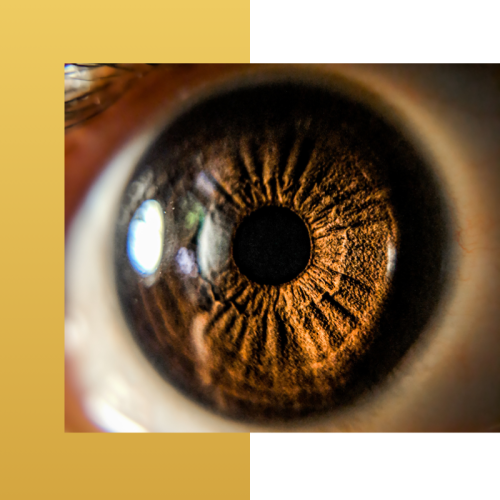 Retina Scan Security | High Security Vaults - Vegas Vaults